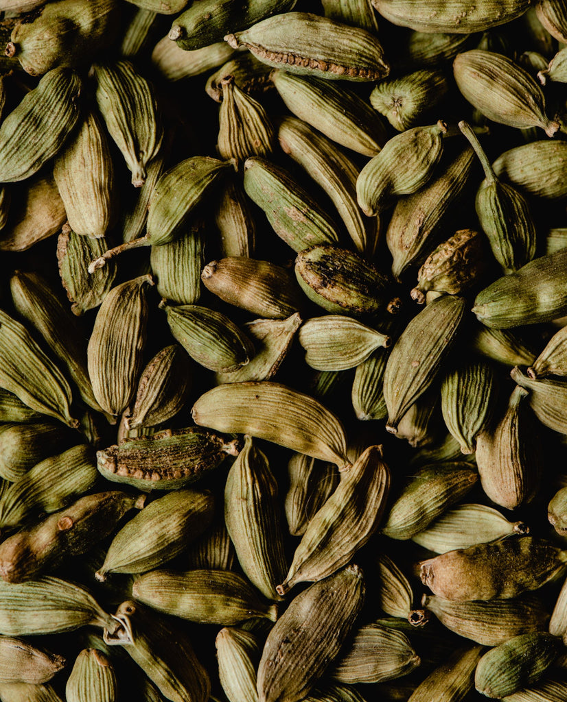 Cardamom Seeds Plant